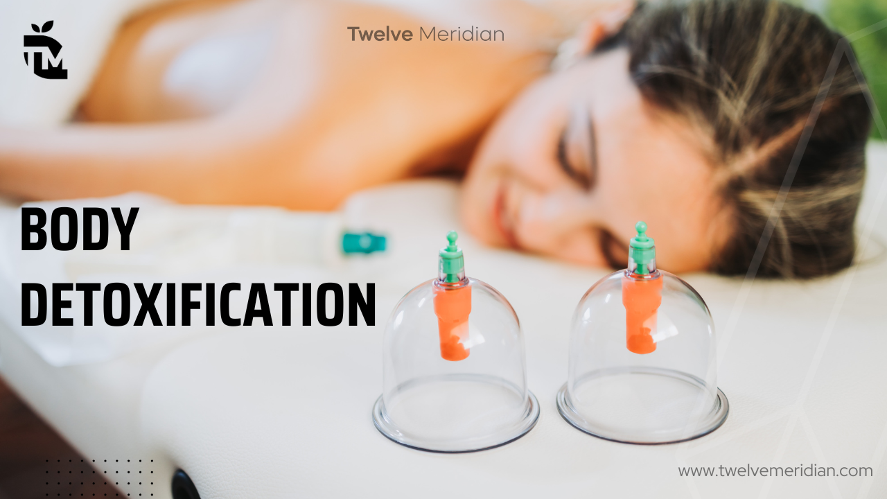 5 Reasons Cupping Therapy Transforms Health | Twelve Meridian